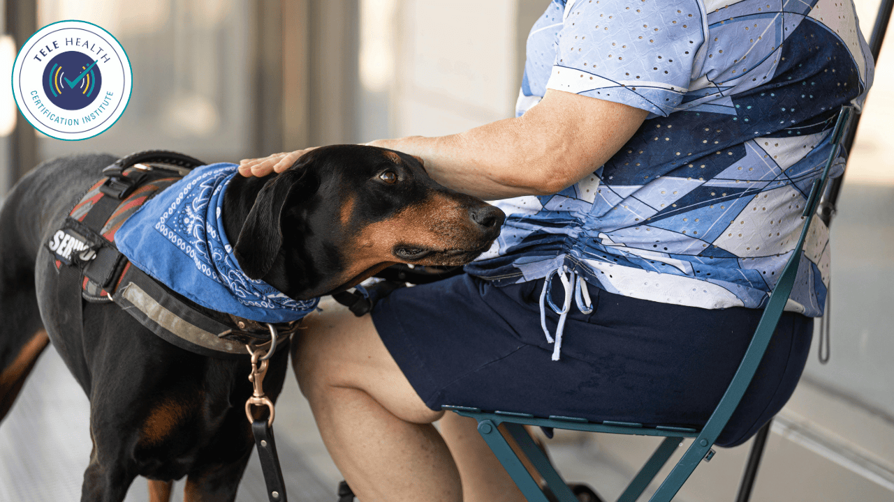 Animal Assisted training | Online Self-Study - Telehealth Certification ...