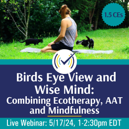 Birds Eye View and Wise Mind: Combining Ecotherapy, AAT and Mindfulness course
